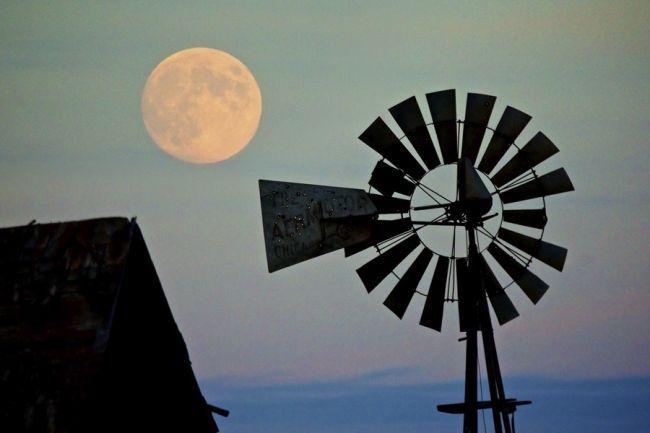 In Search of the Lone Prairie Windmill