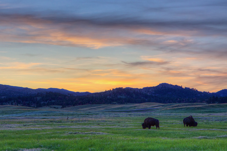 The Enchanting Black HIlls