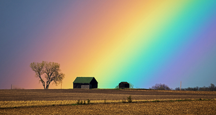 Catching Rainbows