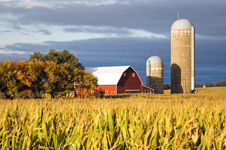 The Old Farmyard Barn