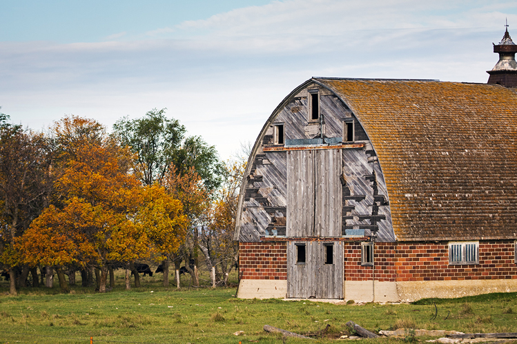 The Old Farmyard Barn