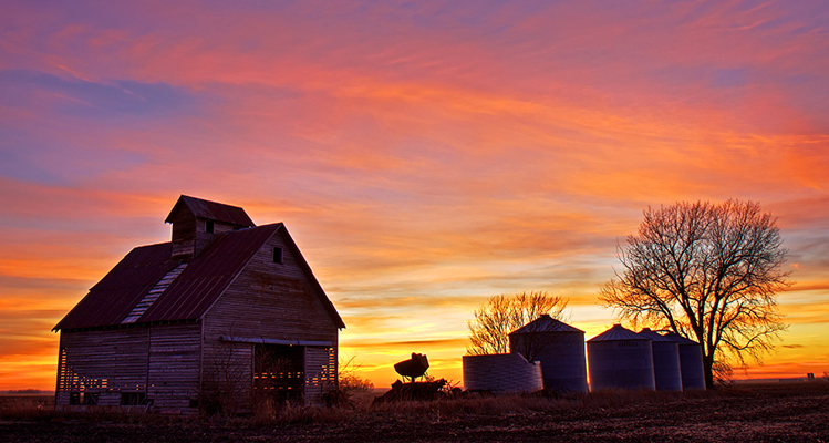 The Old Farmyard Barn