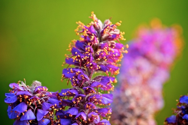 Sioux Quartzite's Ancient Beauty