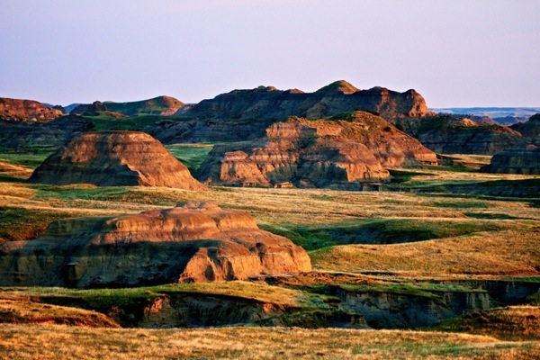 Harding County Treasures