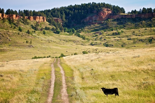 Harding County Treasures