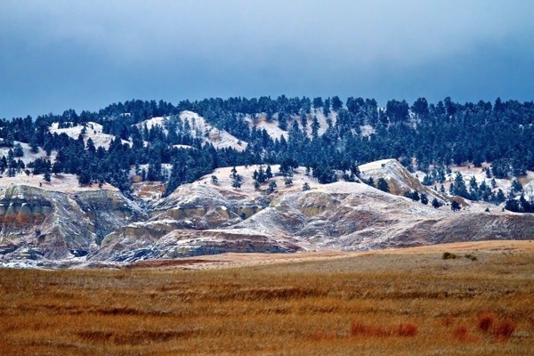 Harding County Treasures