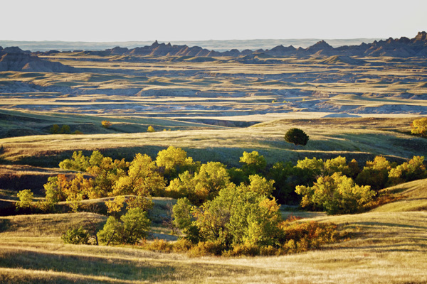 West River South Dakota's Fleeting Fall Color