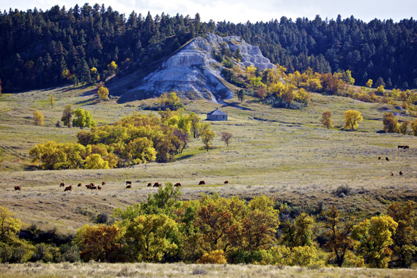 West River South Dakota's Fleeting Fall Color