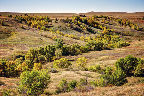 West River South Dakota's Fleeting Fall Color