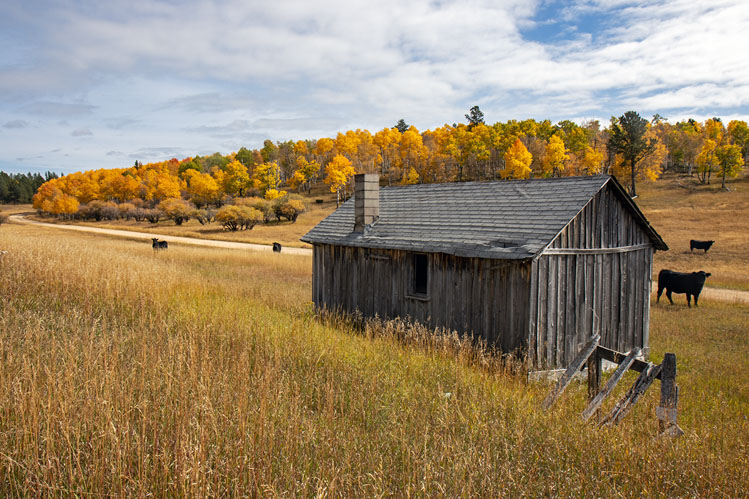Autumn in the High Country