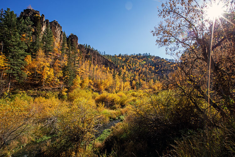 Autumn in the High Country