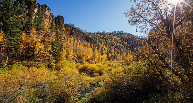 Autumn in the High Country