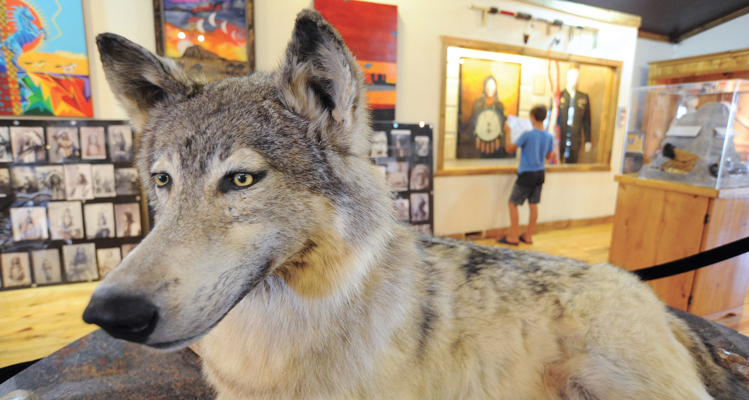 Wolf Country Even Today?