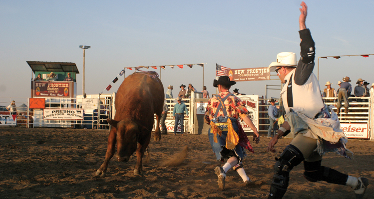 Grabbing Life By The Horns