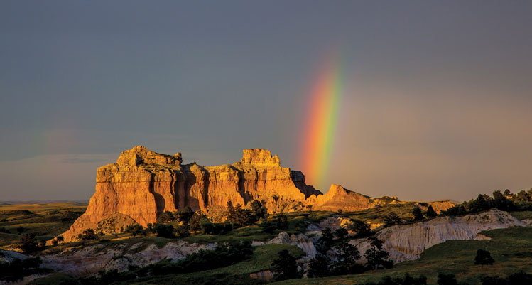 Untamed Harding County