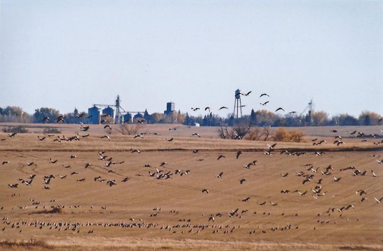 South Dakota Photo of the Week