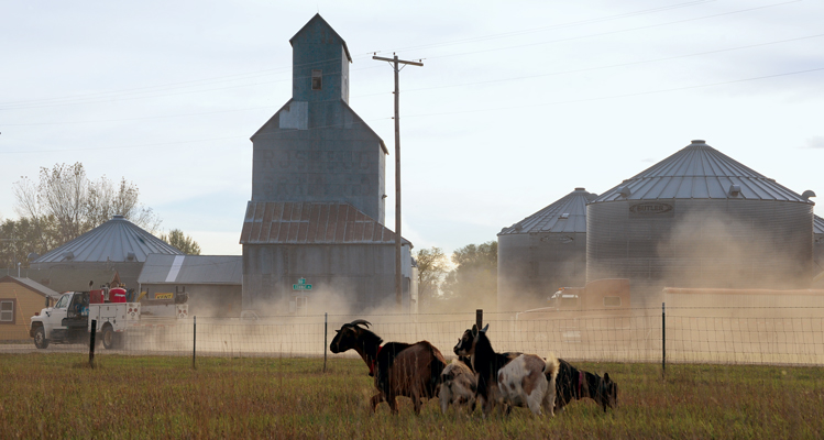 Witten: A Town on the 100th Meridian